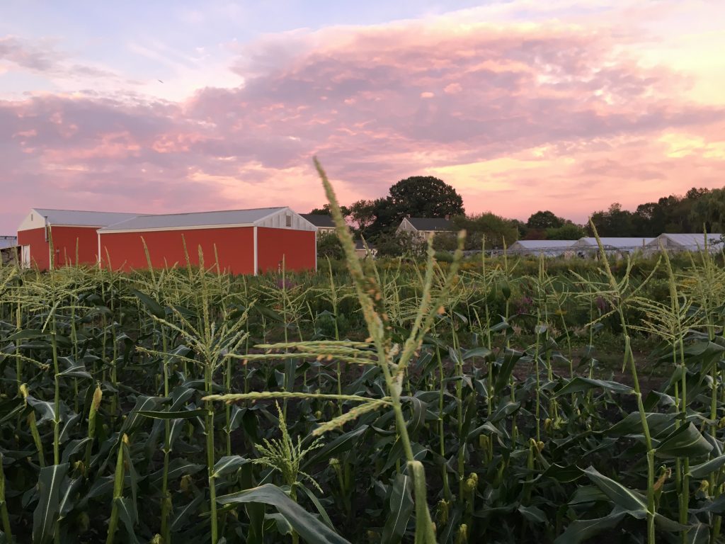 Griggs Farm Billerica